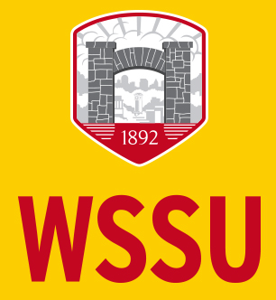 Color Considerations - Winston-Salem State University